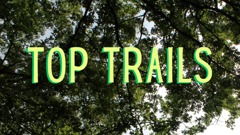 Top Trails | Explore Gainesville